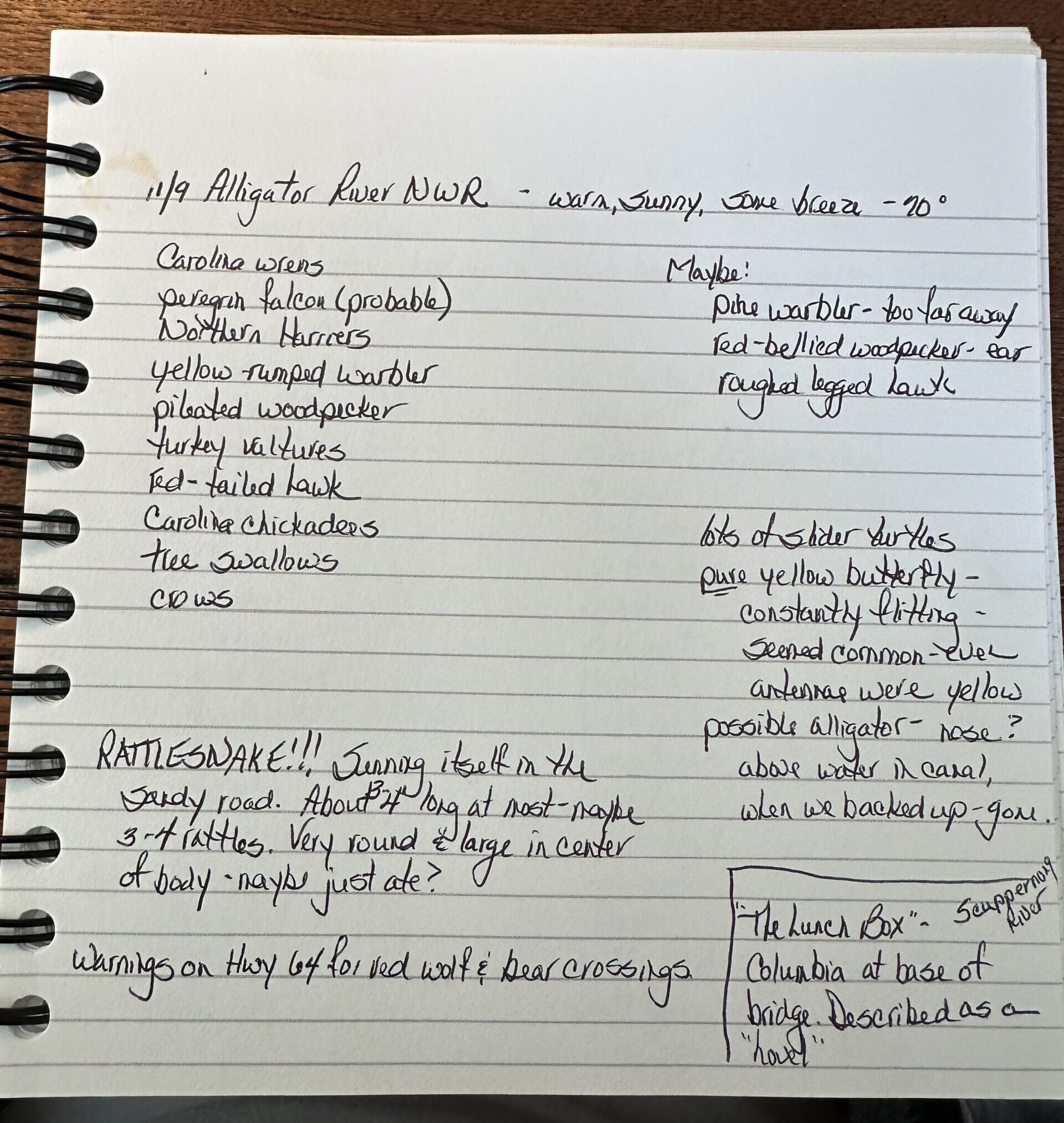 Bird Lists, Birding Notebook, Nature Journal …… Should you record what ...