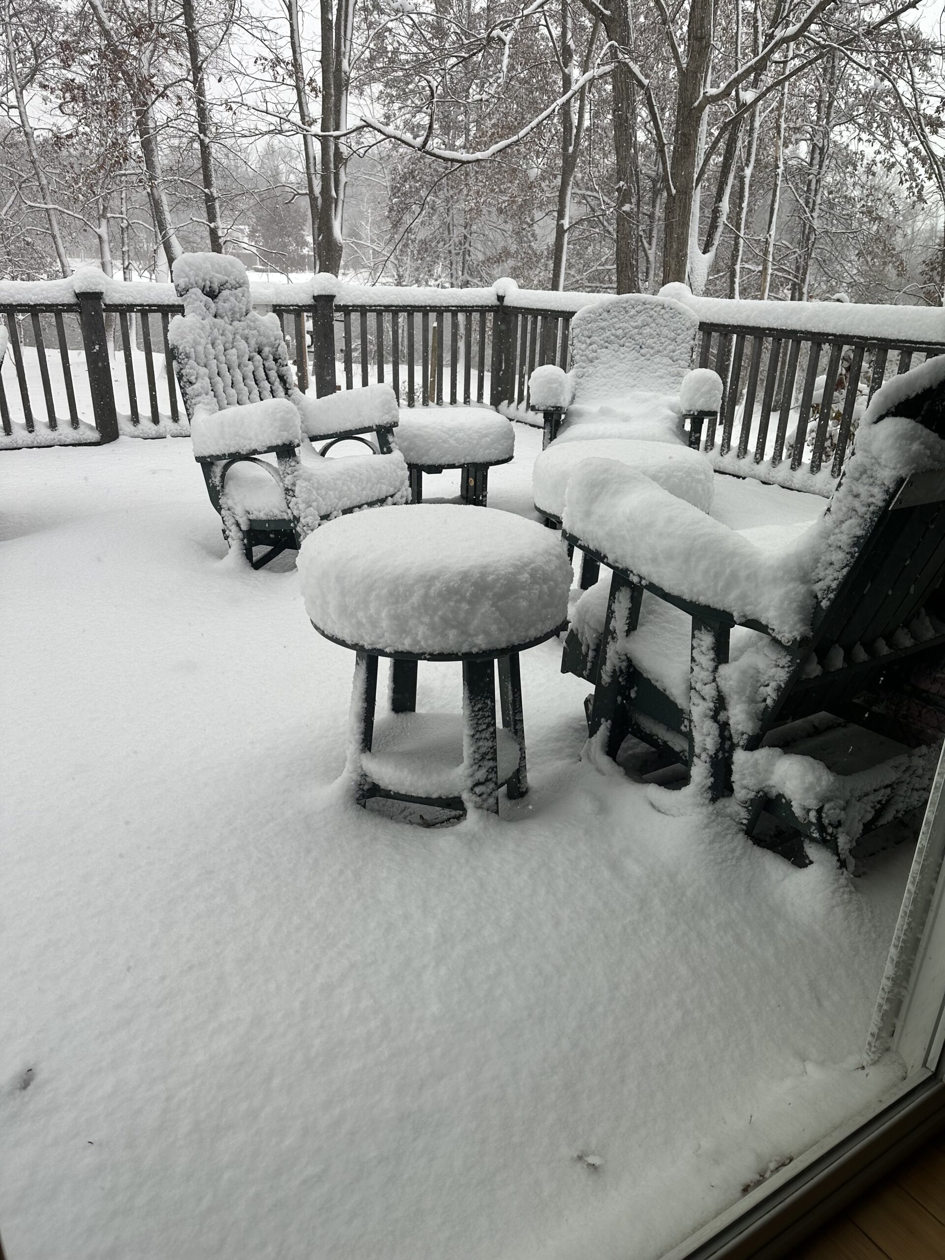 Snow!!!!!! – Beyond the Field Guide