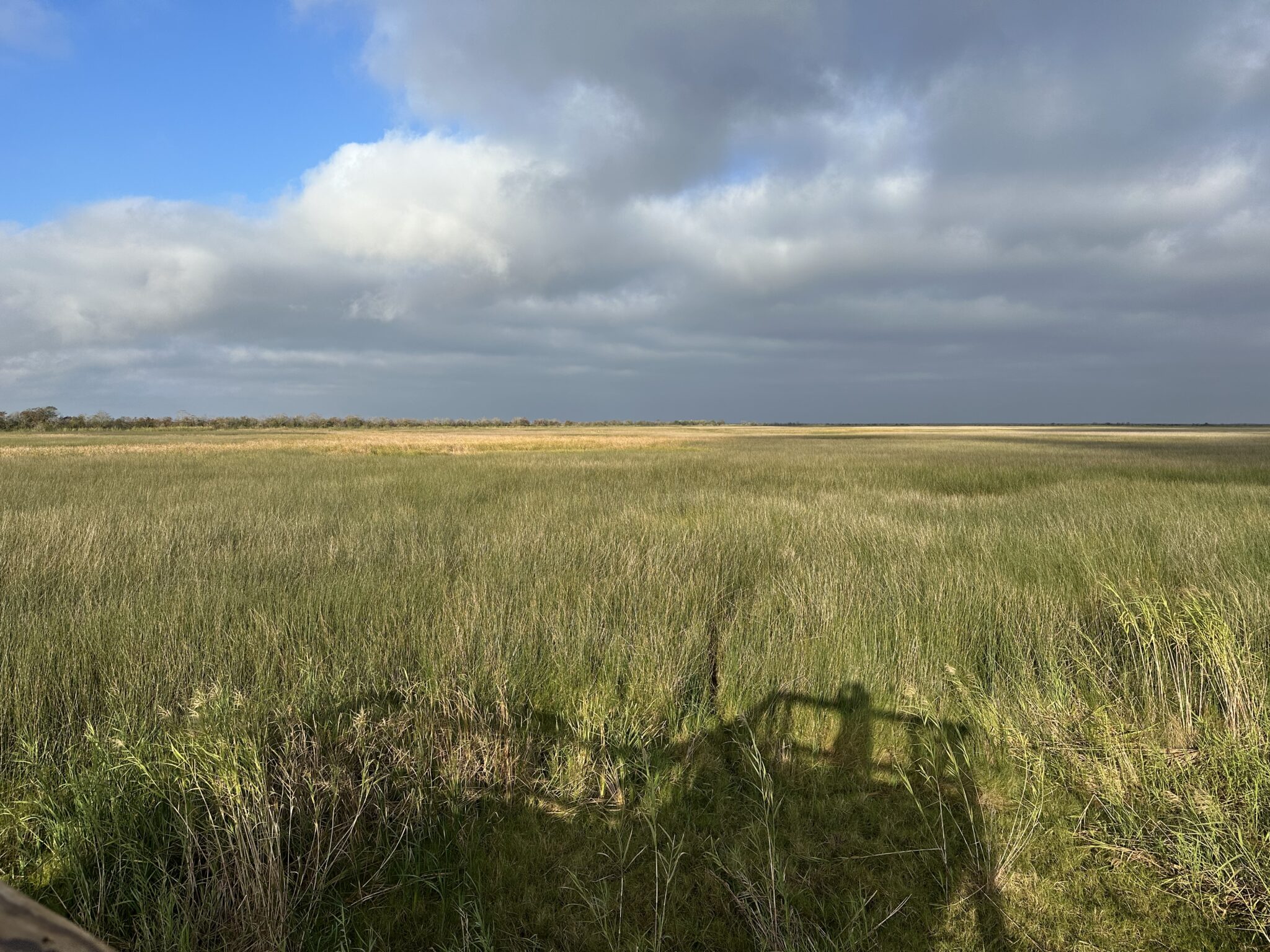 Sabine National Wildlife Refuge near Hackberry Louisiana – Beyond the ...