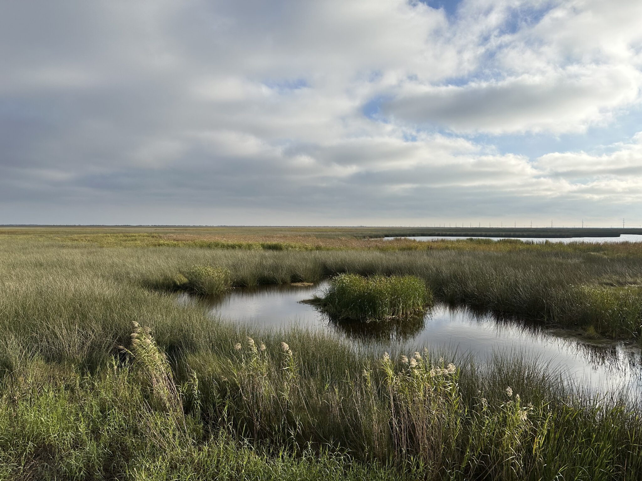 Sabine National Wildlife Refuge near Hackberry Louisiana – Beyond the ...