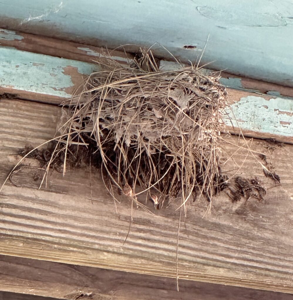 Sabine National Wildlife Refuge near Hackberry Louisiana – Beyond the ...