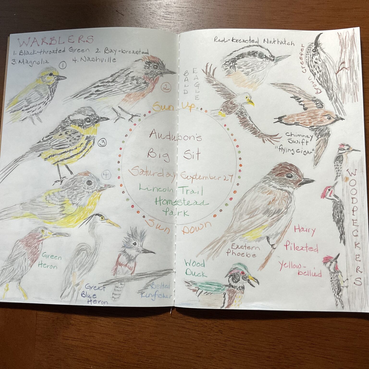 My Journaling Journey by Susan Shaw…………..Illinois – Beyond the Field Guide