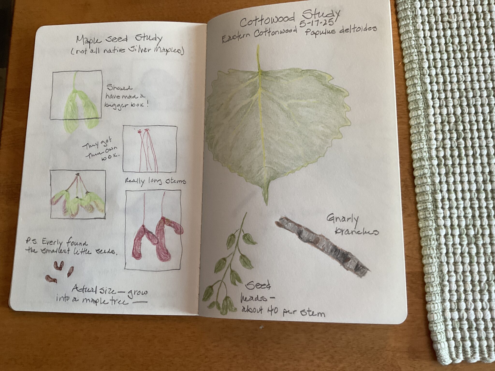Bird Lists, Birding Notebook, Nature Journal …… Should you record what ...