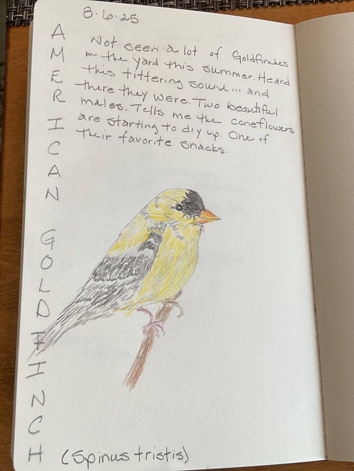 Bird Lists, Birding Notebook, Nature Journal …… Should you record what ...